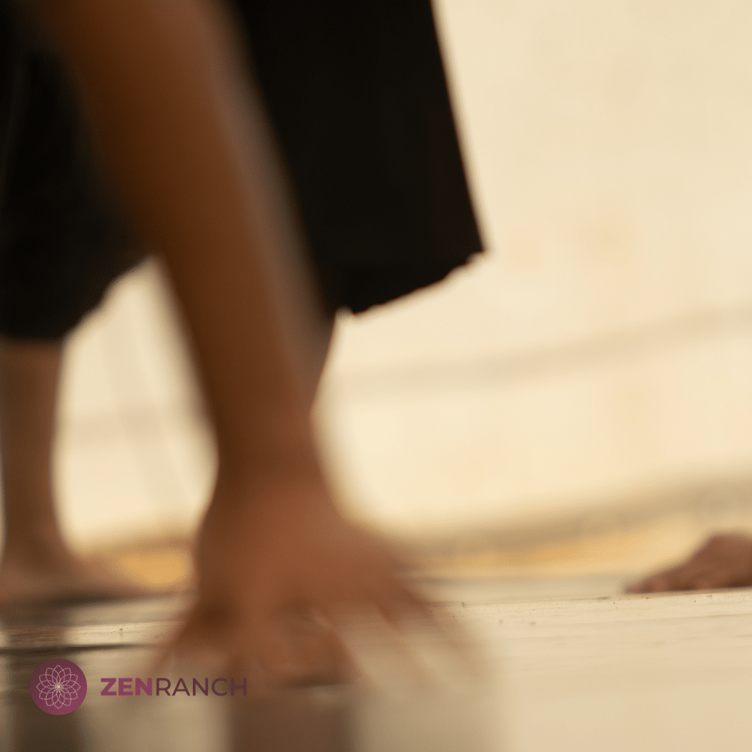 Zen Movement - Zen Ranch